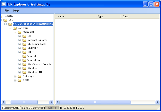 File Based Registry Explorer