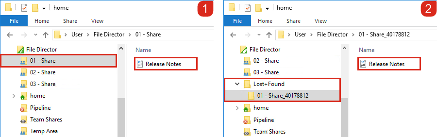 File Director Lost+Found