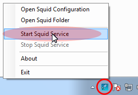 Configure Squid