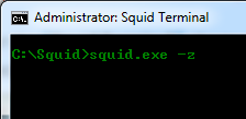 Configure Squid
