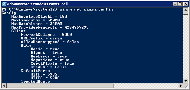 Using the Run Program for the Remote Host