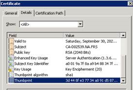 Using the Run Program for the Remote Host