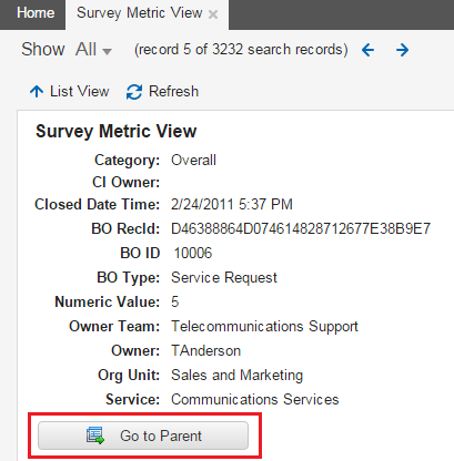 Working with the Survey Metric View