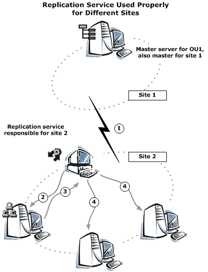 Number and Distribution of the Distribution Services